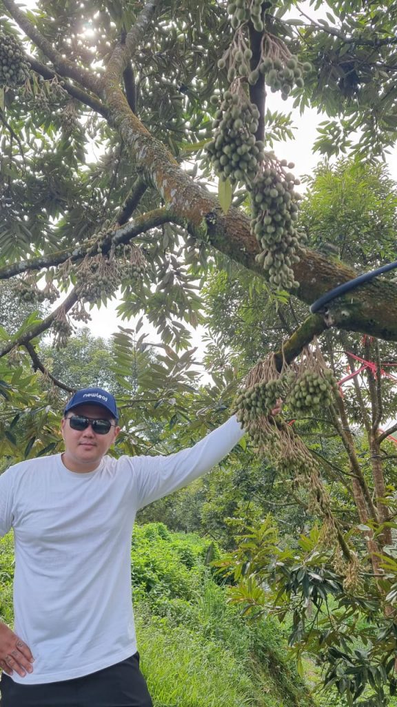 Durian Flowering Season - Newleaf Malaysia